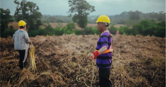 Unser Aufforstungsprojekt in Lastenia | TGF | The Generation Forest