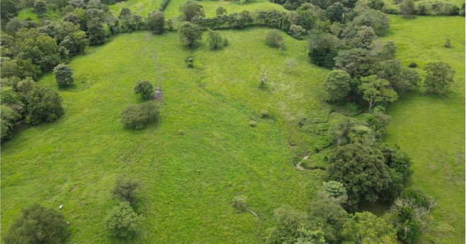 Unser Aufforstungsprojekt in Nicanor | TGF | The Generation Forest