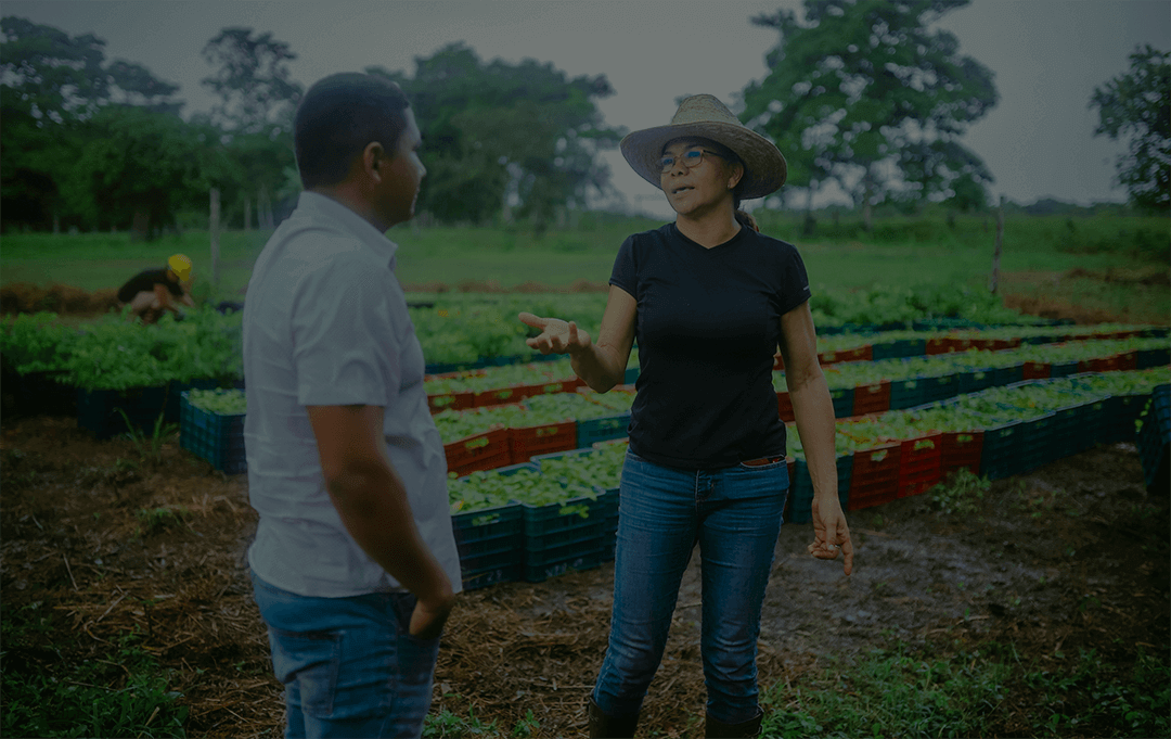 Climate campaign | The Generation Forest